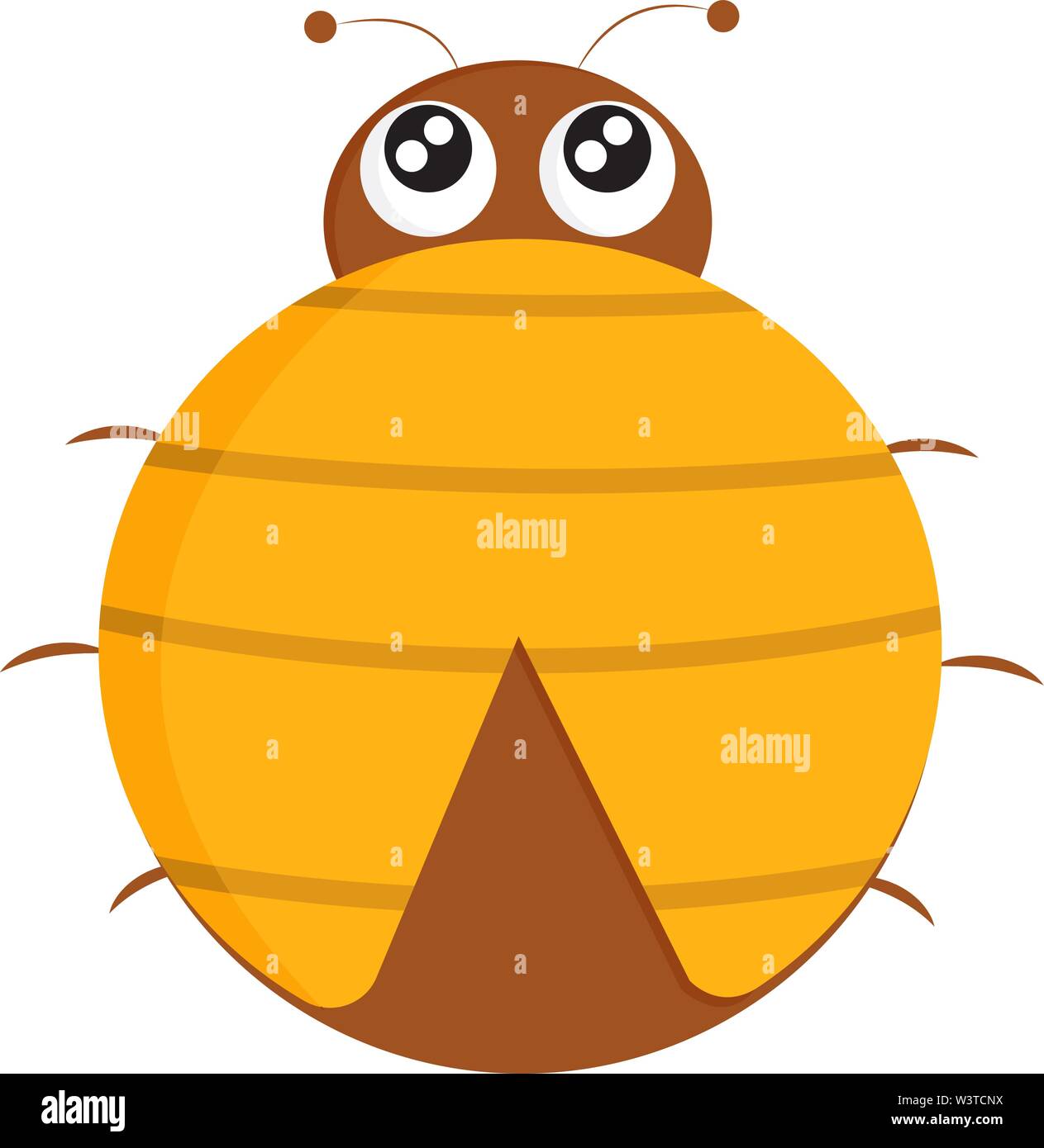 Yellow and sparkling beetle Stock Vector Images - Alamy