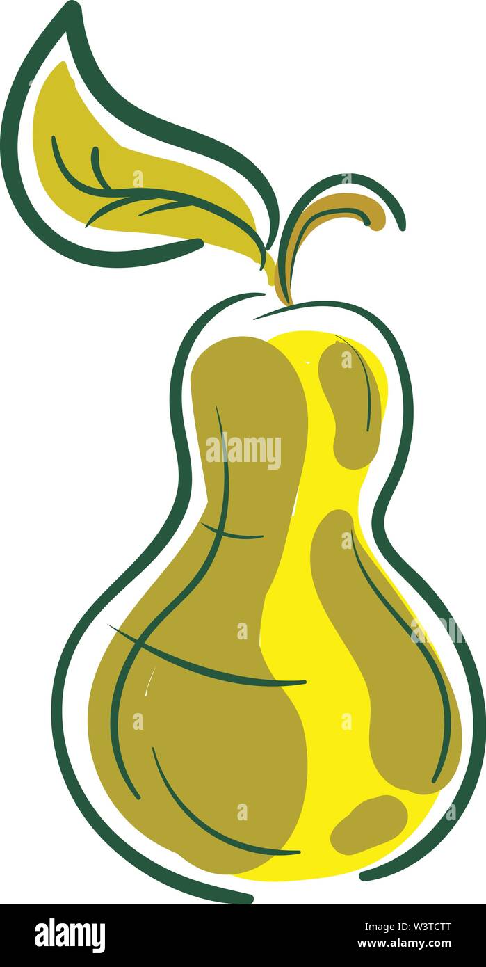 A cartoon of a green pear, vector, color drawing or illustration Stock ...