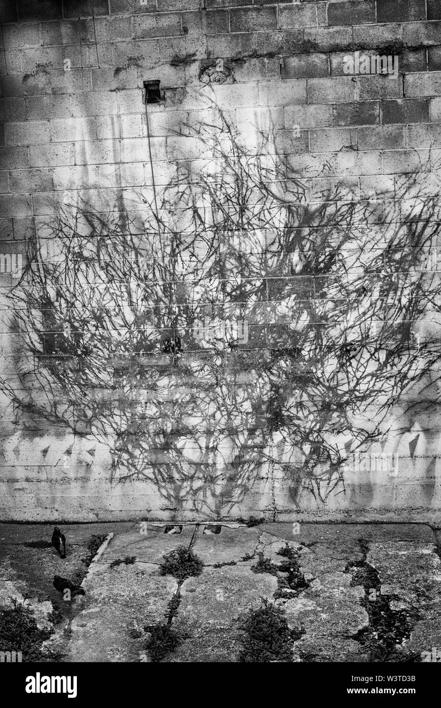 Background image conceptual Black and White Stock Photos & Images - Alamy