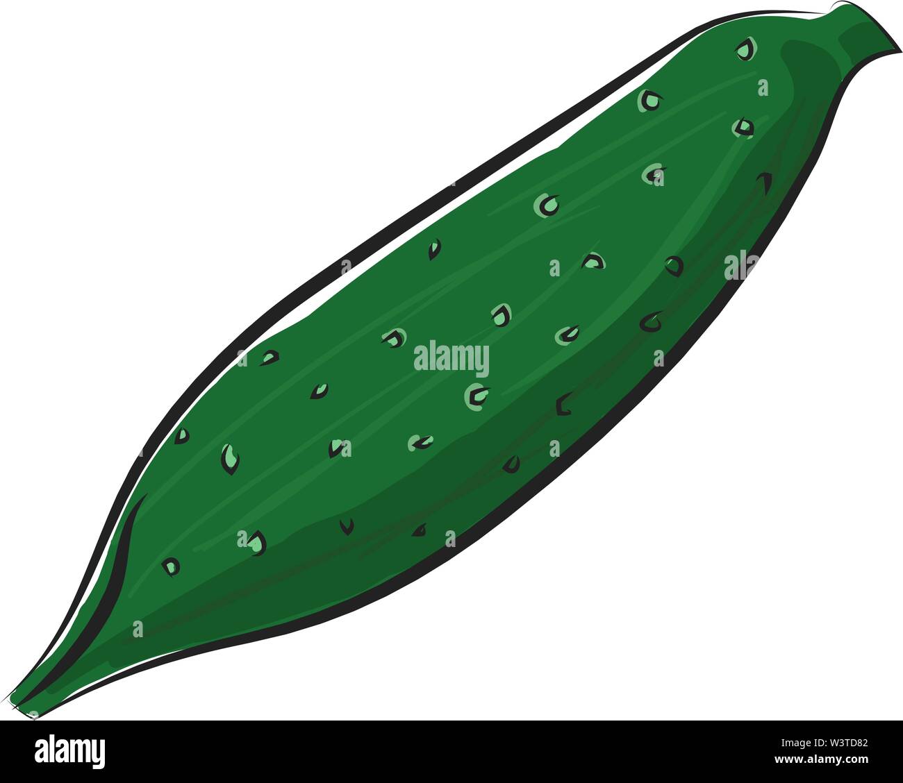 Cucumber vector vectors hi-res stock photography and images - Alamy