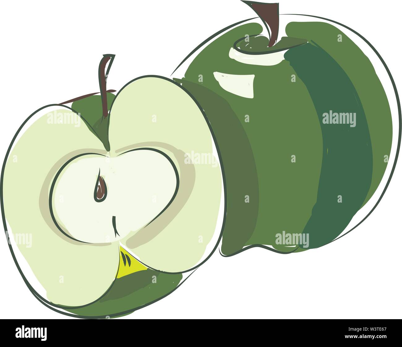 Drawing of a green apple hi-res stock photography and images - Alamy