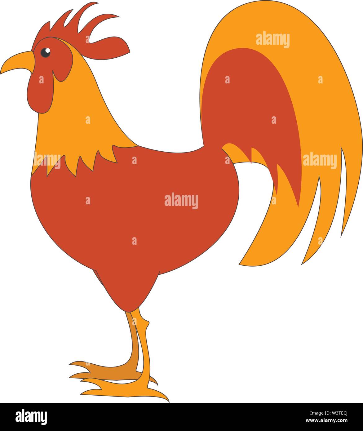 A red and orange colored rooster, vector, color drawing or illustration ...