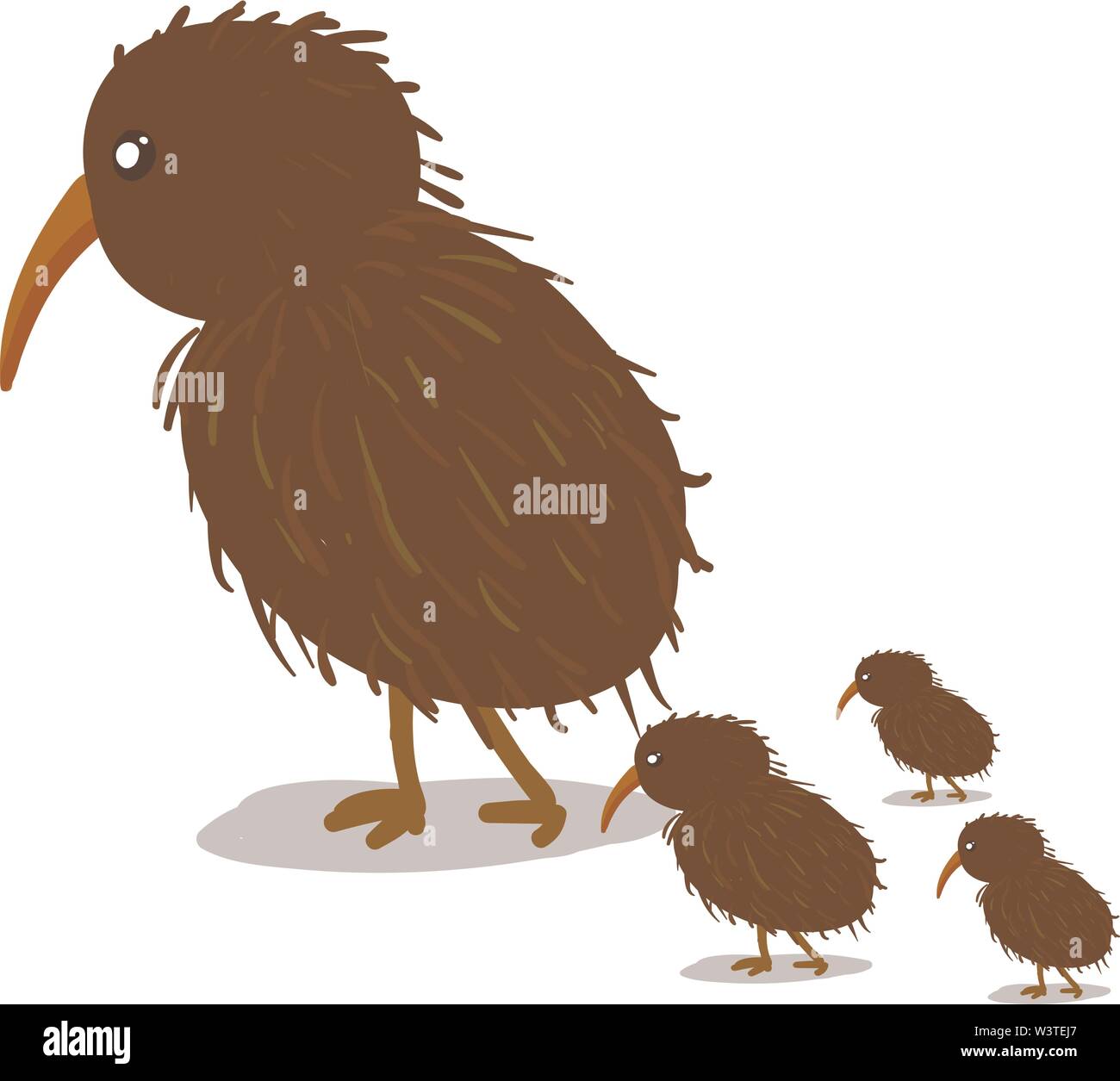 A kiwi bird with a 3 kiwi chicks, vector, color drawing or illustration ...