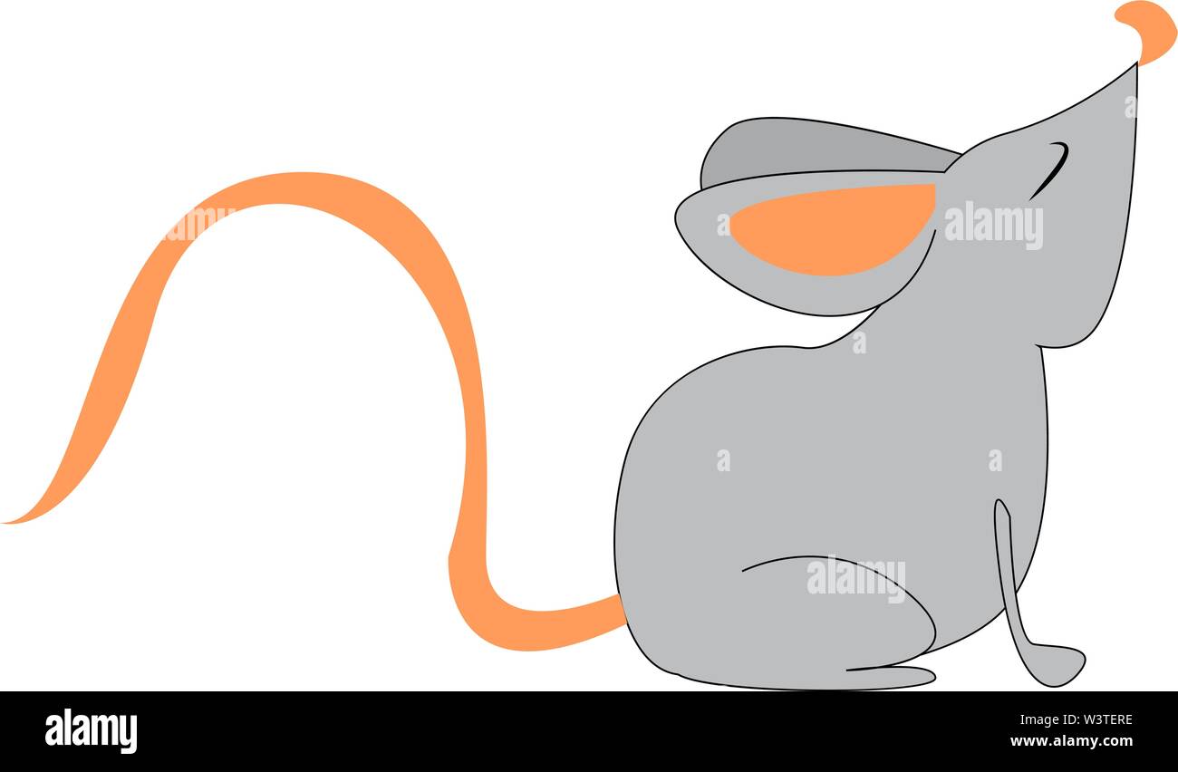 A gray little mouse with a brown tail, vector, color drawing or ...