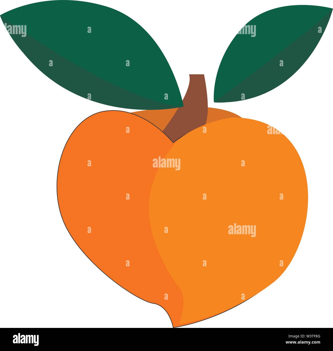A small and sweet peach in orange color, vector, color drawing or ...