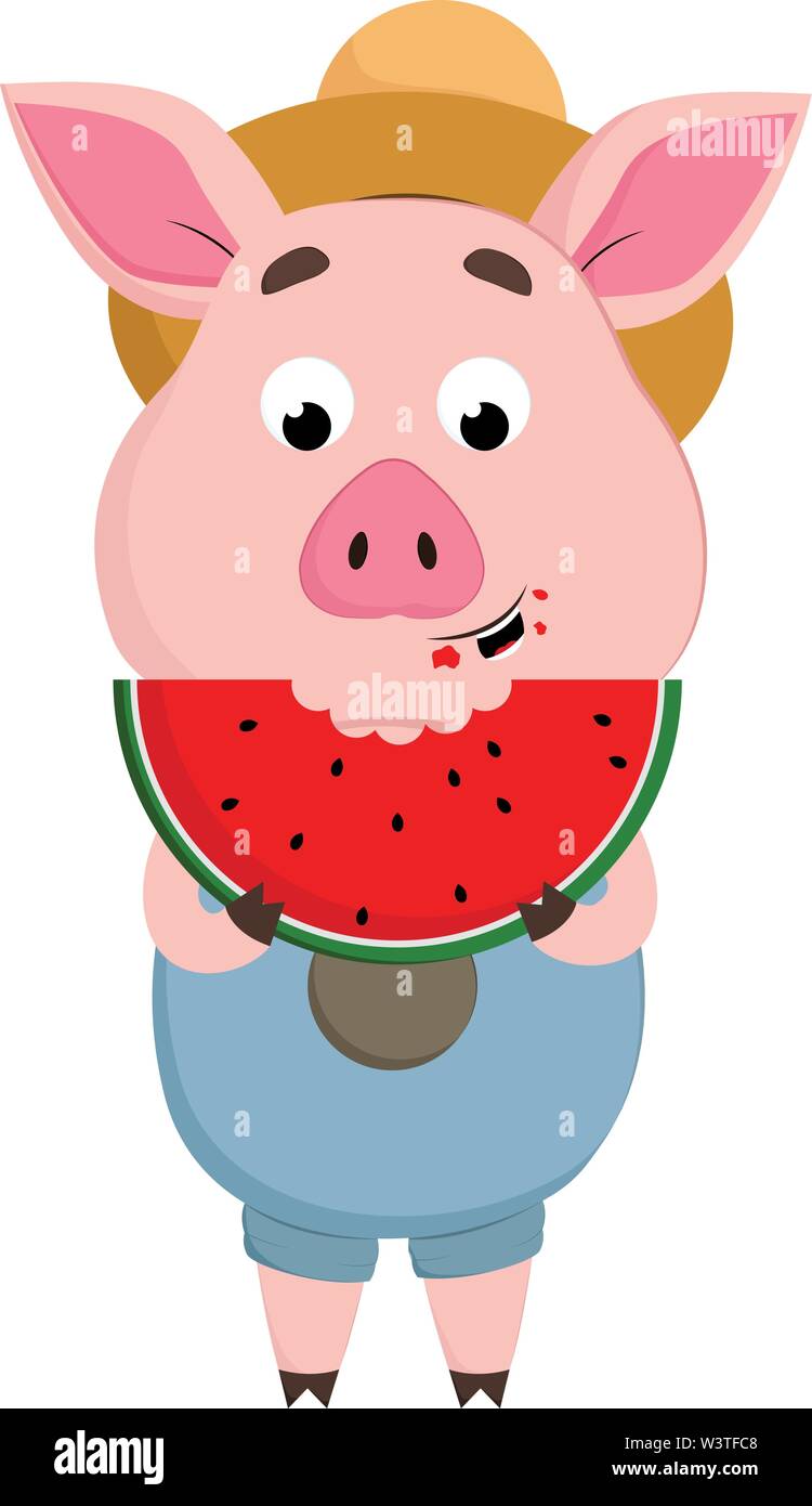 A funny image of a pig eating a watermelon, vector, color drawing or ...