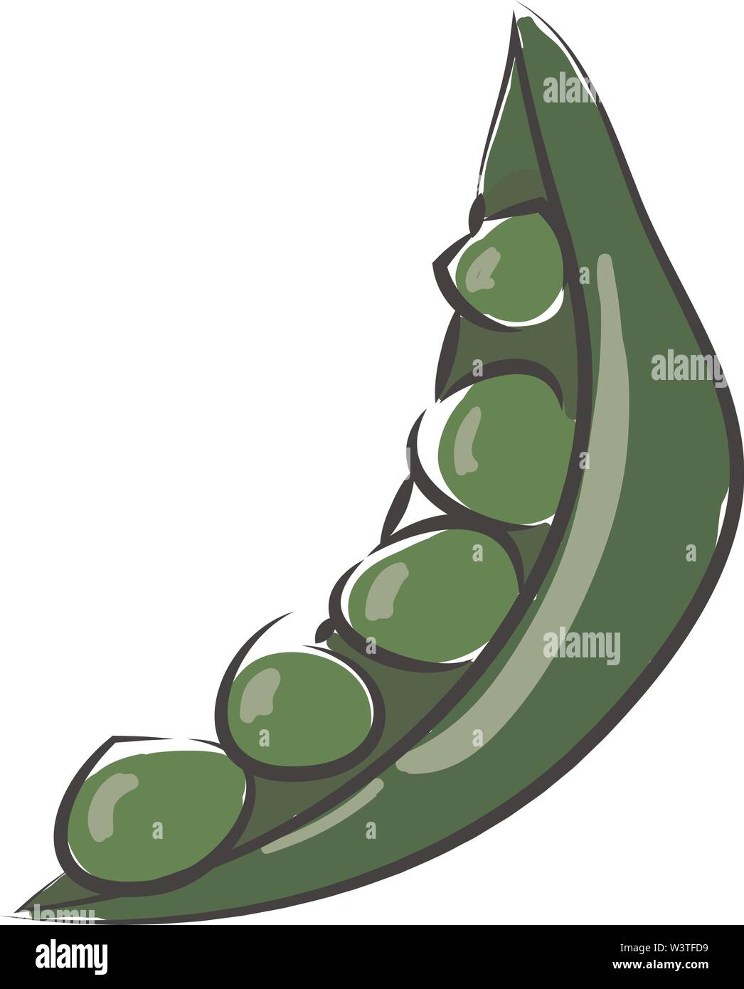 Single green peas plant Stock Vector Images - Alamy