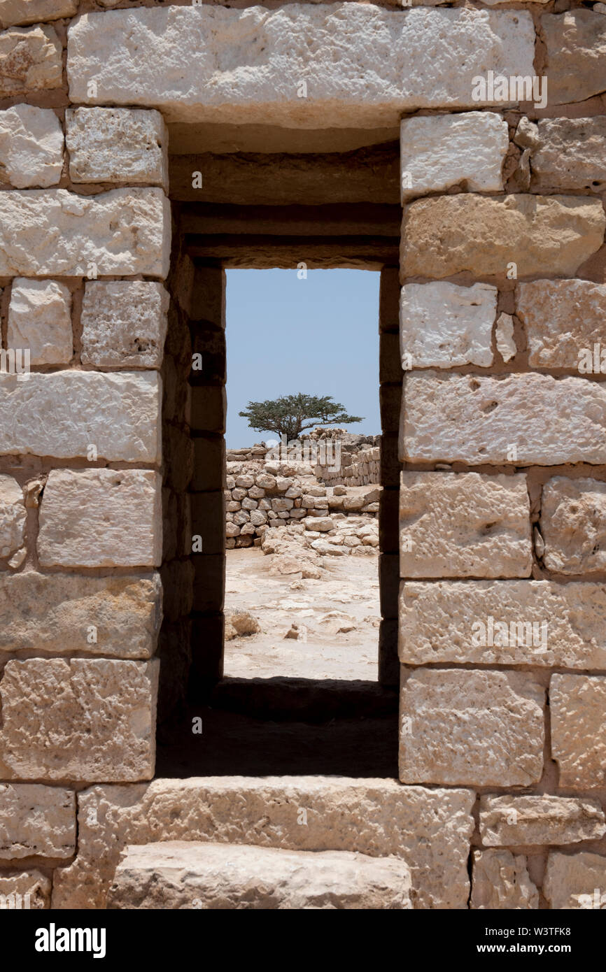 Frankincense trail in oman hi-res stock photography and images - Alamy