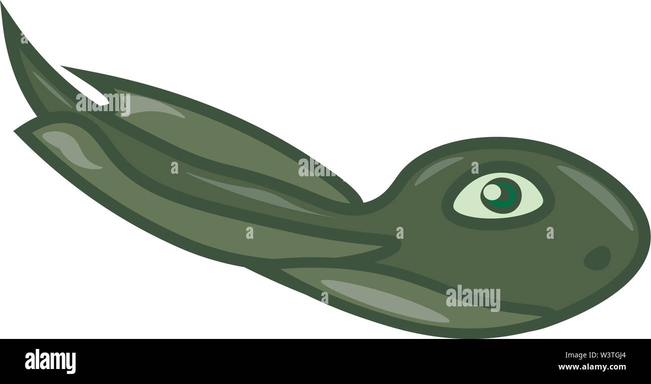 A young tadpole in green color, vector, color drawing or illustration ...