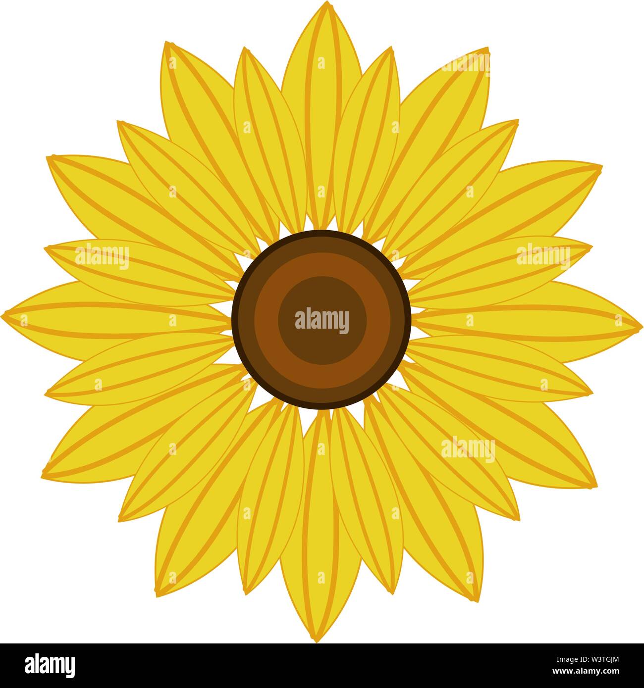 A beautiful single sunflower in bright yellow color, vector, color ...