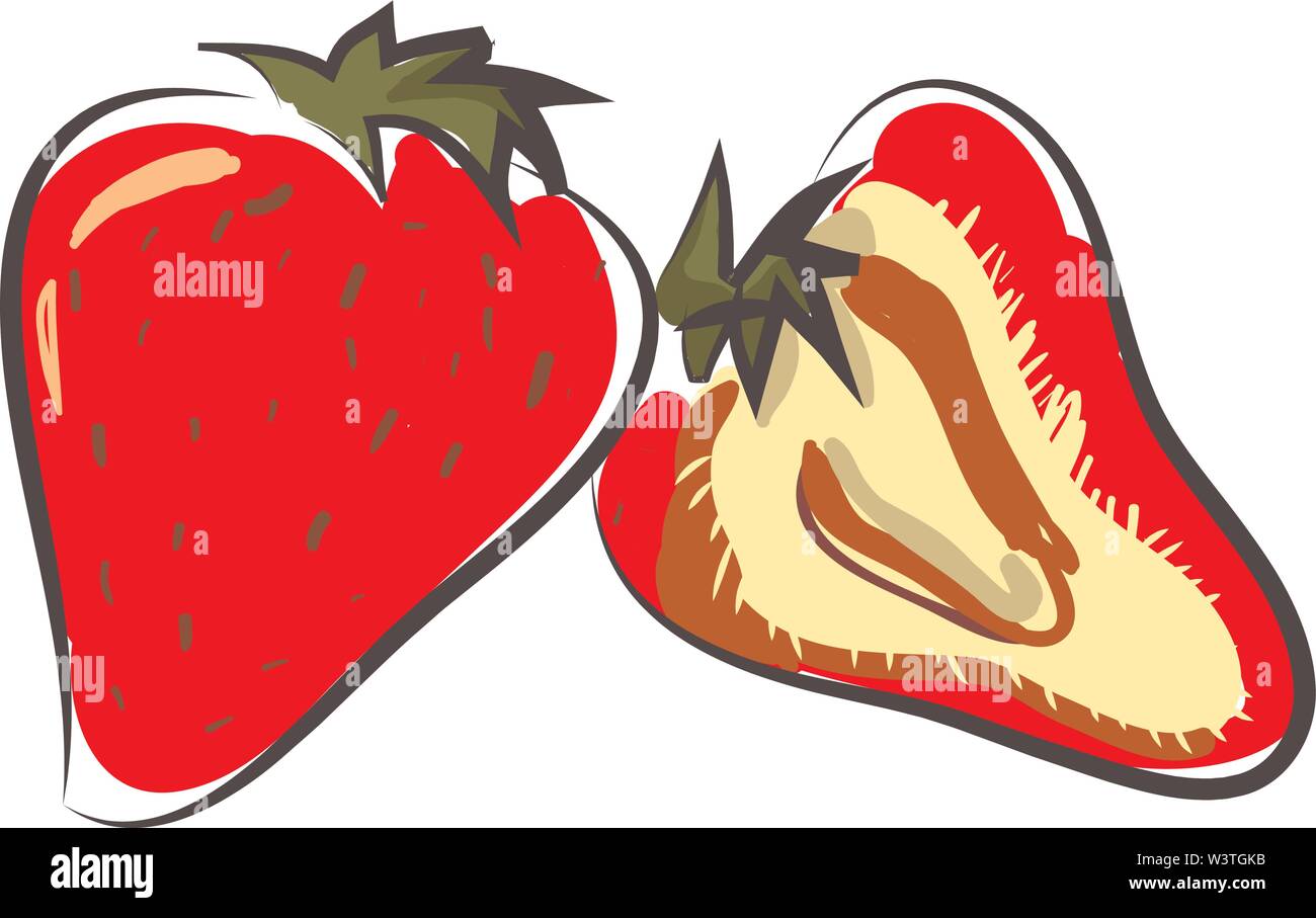 A sweet strawberry and a slice a berry near it, vector, color drawing ...