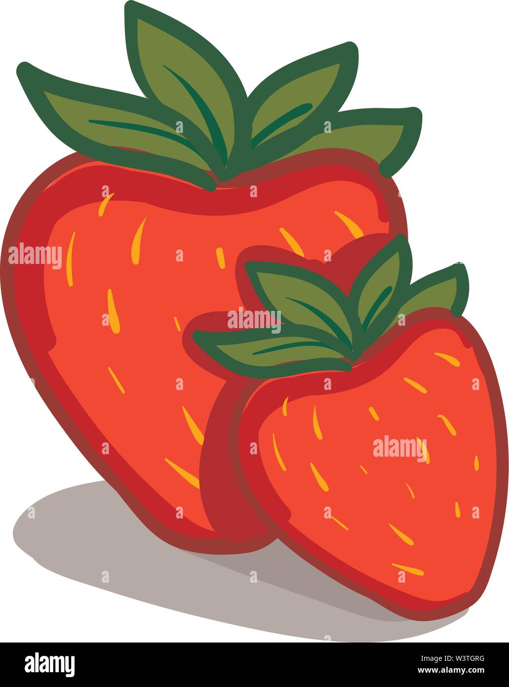 Two big bright strawberries, vector, color drawing or illustration ...