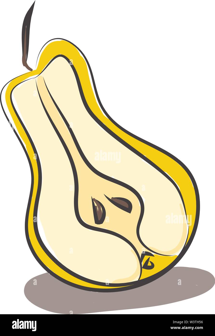 A piece of sliced yellow pear, vector, color drawing or illustration ...
