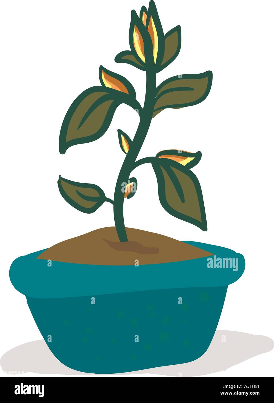 Table green plant in Stock Vector Images - Alamy