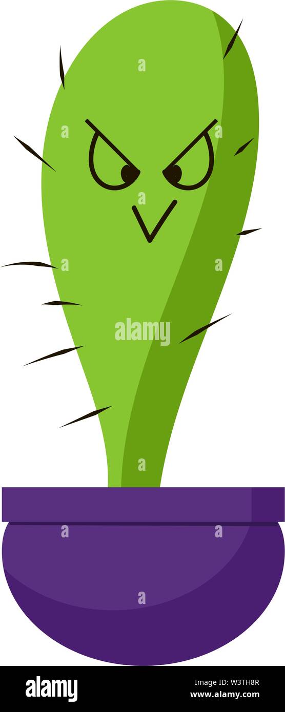 Angry cactus in purple pots, illustration, vector on white background ...