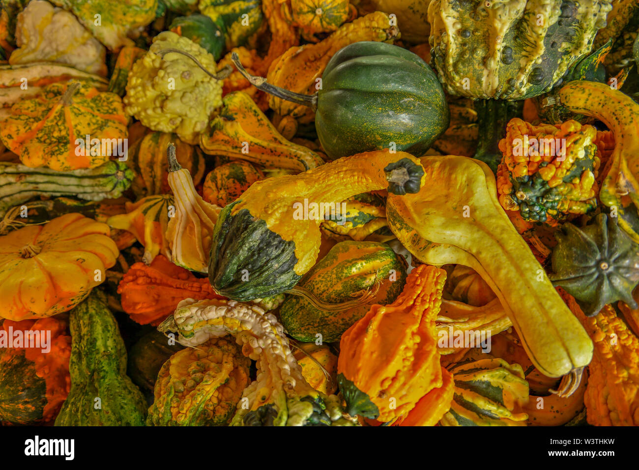 Csc background hi-res stock photography and images - Alamy