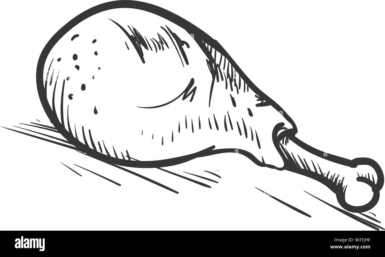 Chicken leg sketch, illustration, vector on white background Stock ...