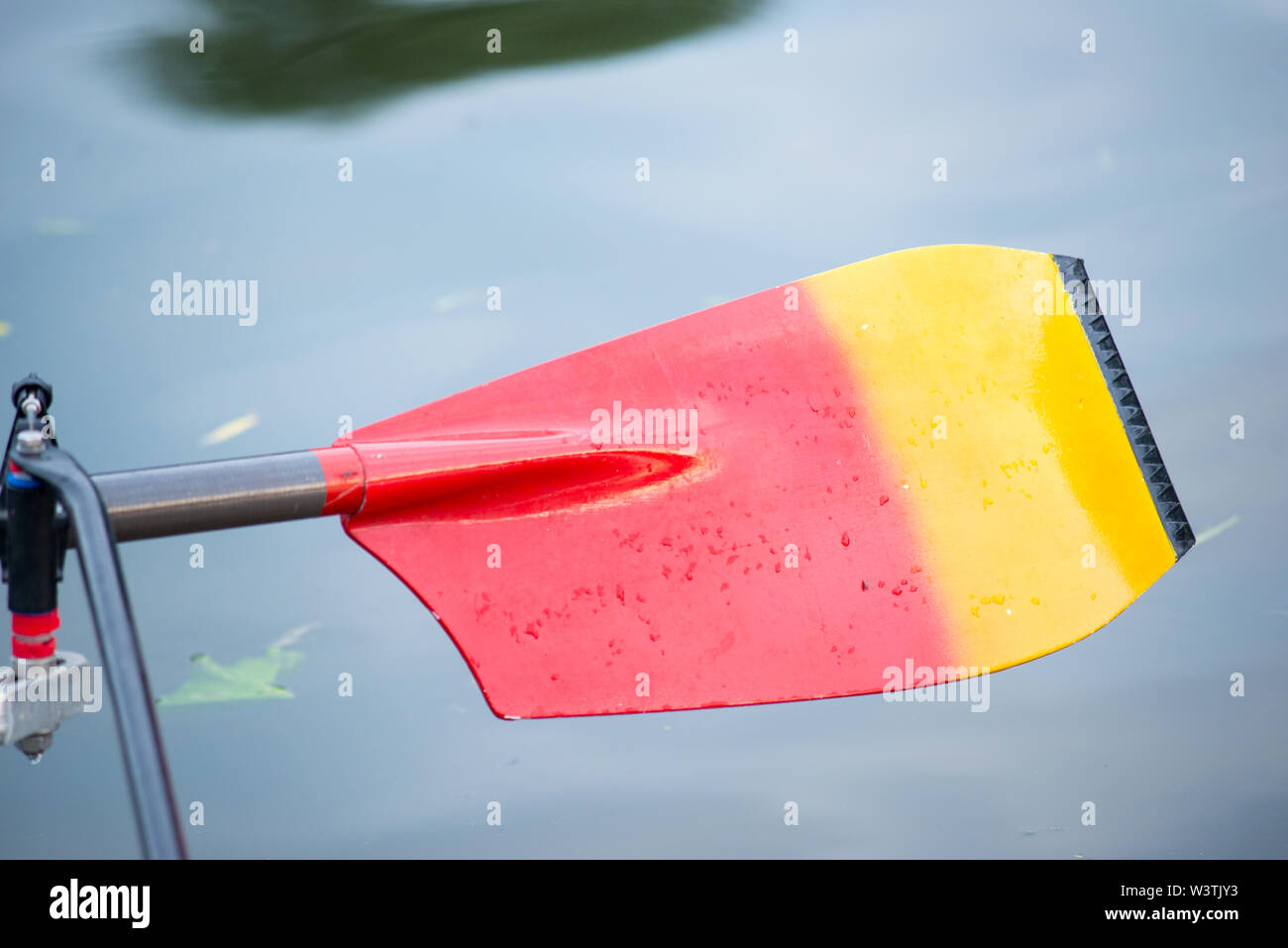 Rowing oar in air with river in background Stock Photo - Alamy