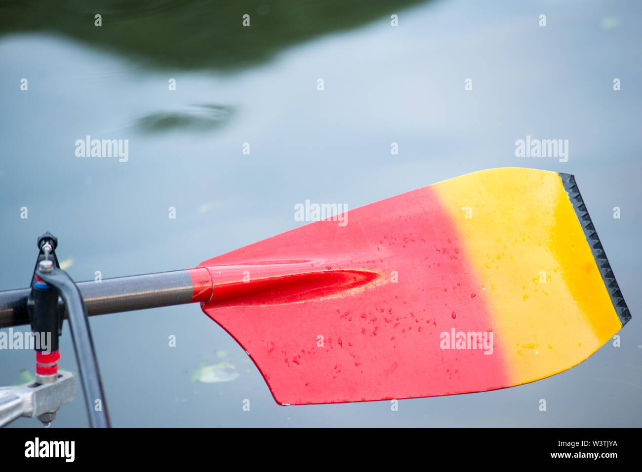 Rowing oar in air with river in background Stock Photo - Alamy