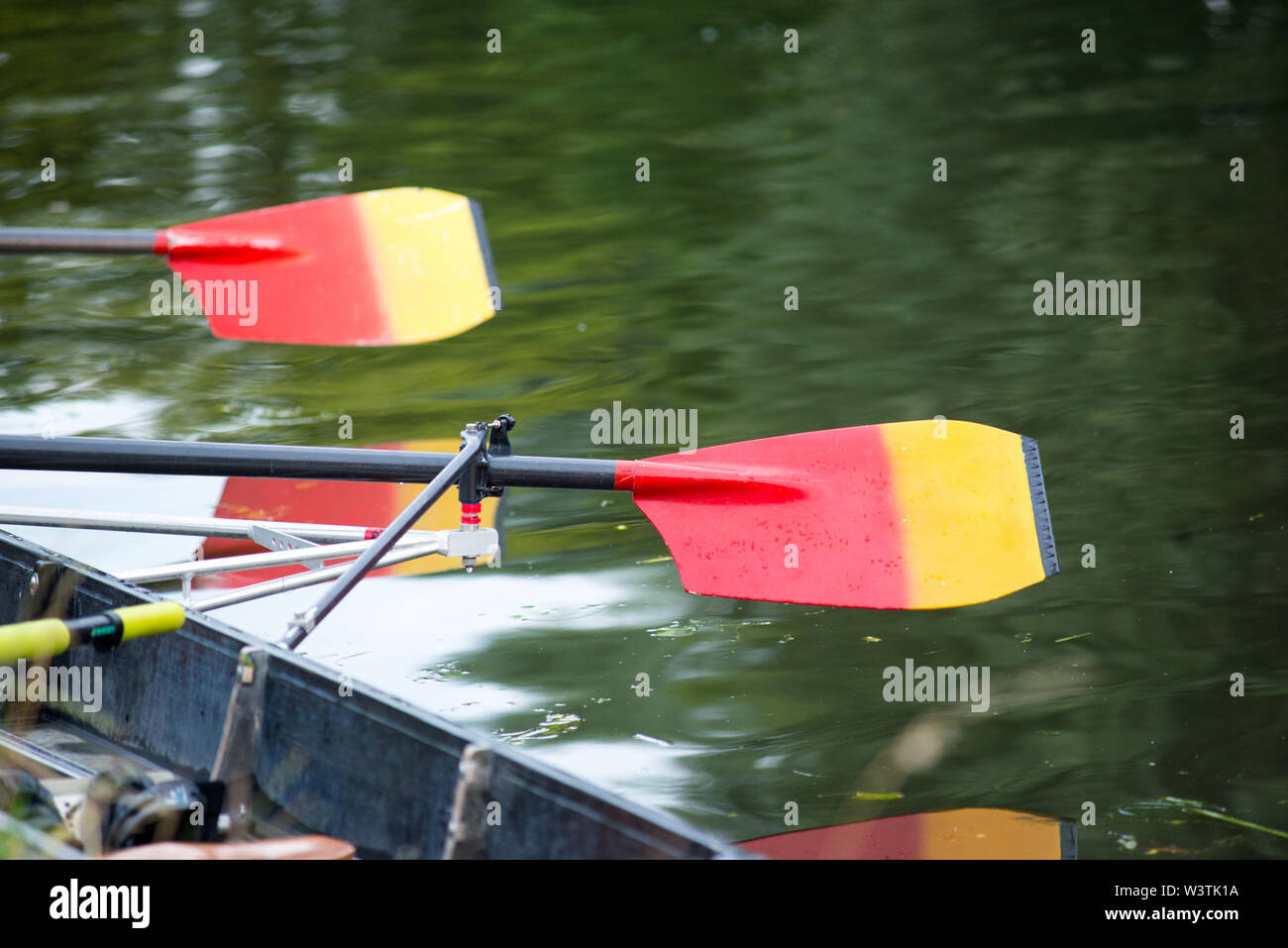 Rowing oar in air with river in background Stock Photo - Alamy