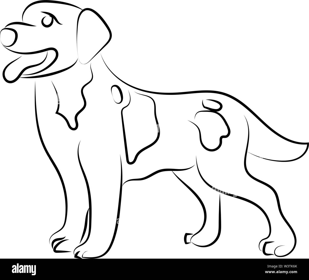 Dog sketch, illustration, vector on white background Stock Vector Image ...