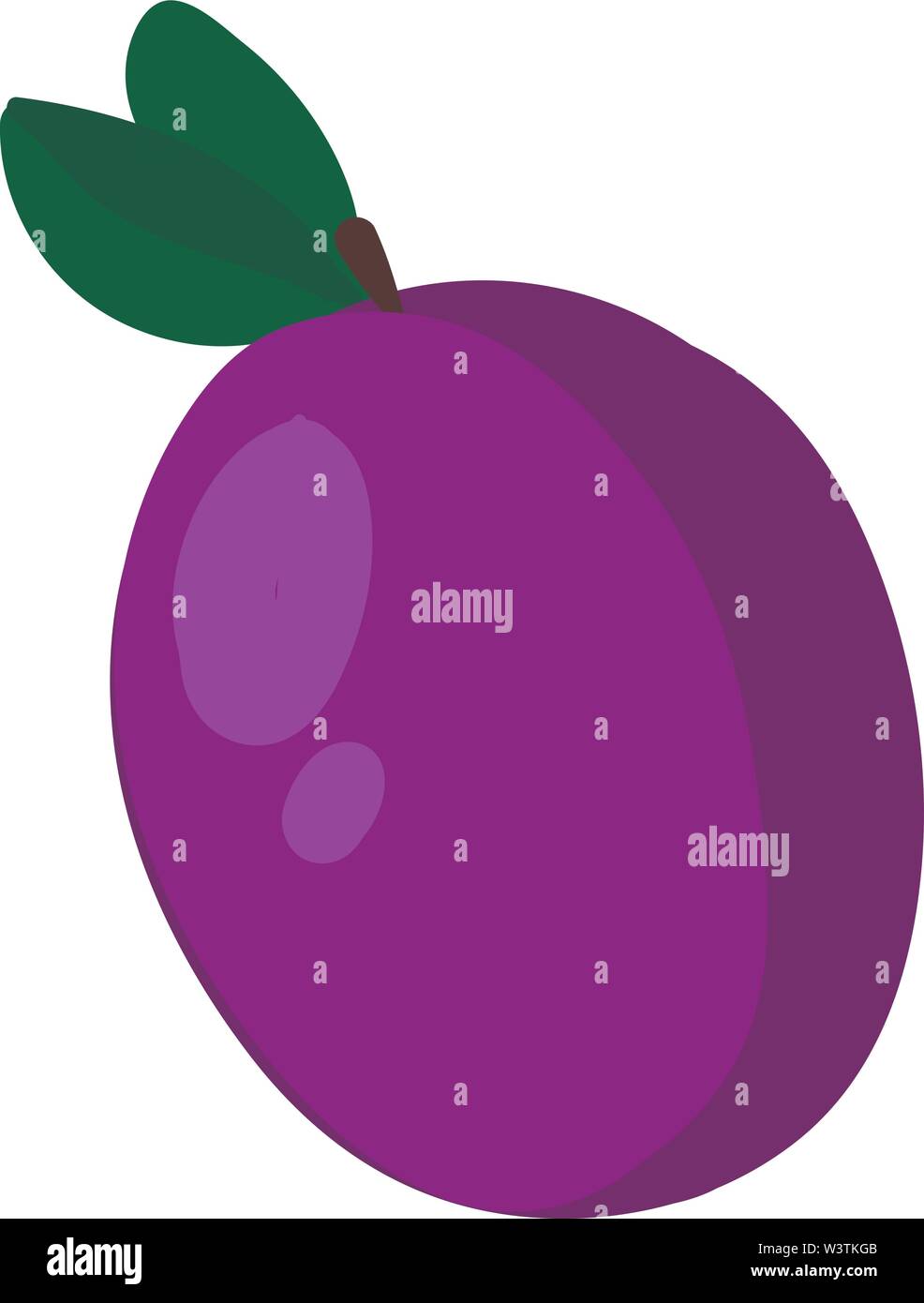 Purple flat prune, illustration, vector on white background Stock ...