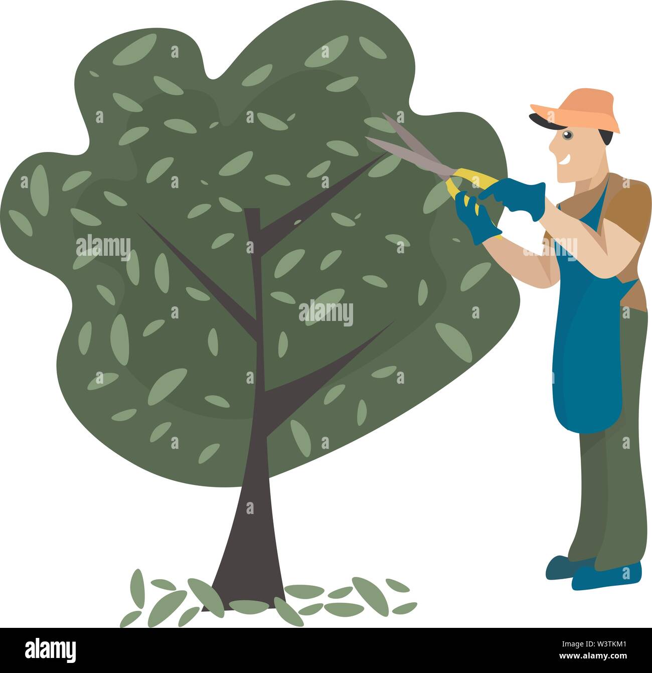 Gardener trimming a tree, illustration, vector on white background ...