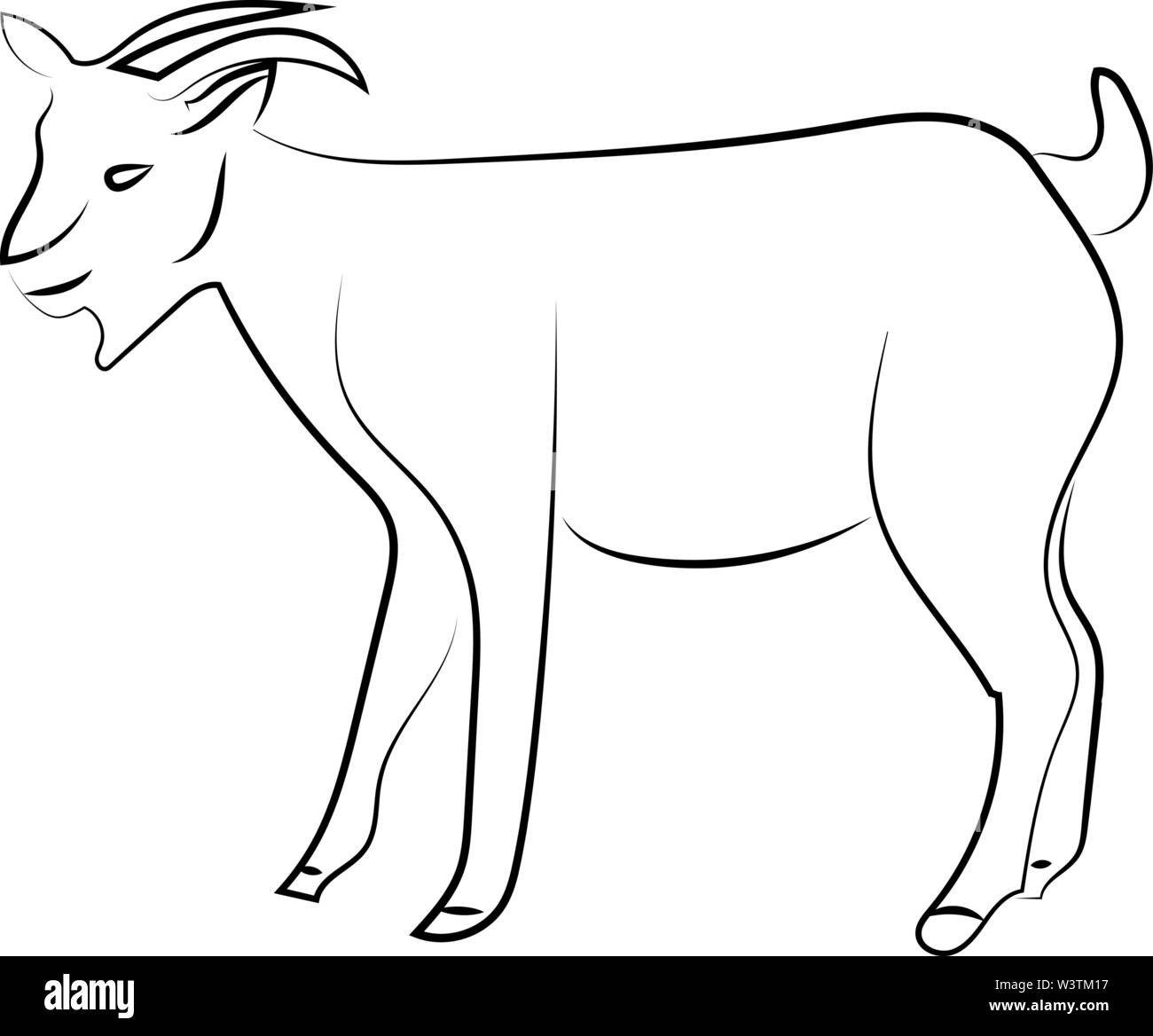 Goat sketch, illustration, vector on white background Stock Vector ...