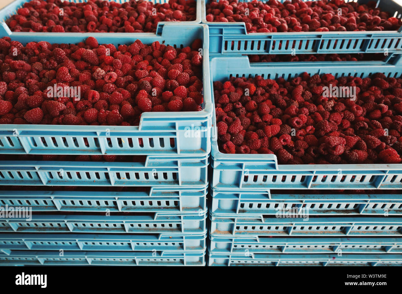 Full crates hi-res stock photography and images - Alamy