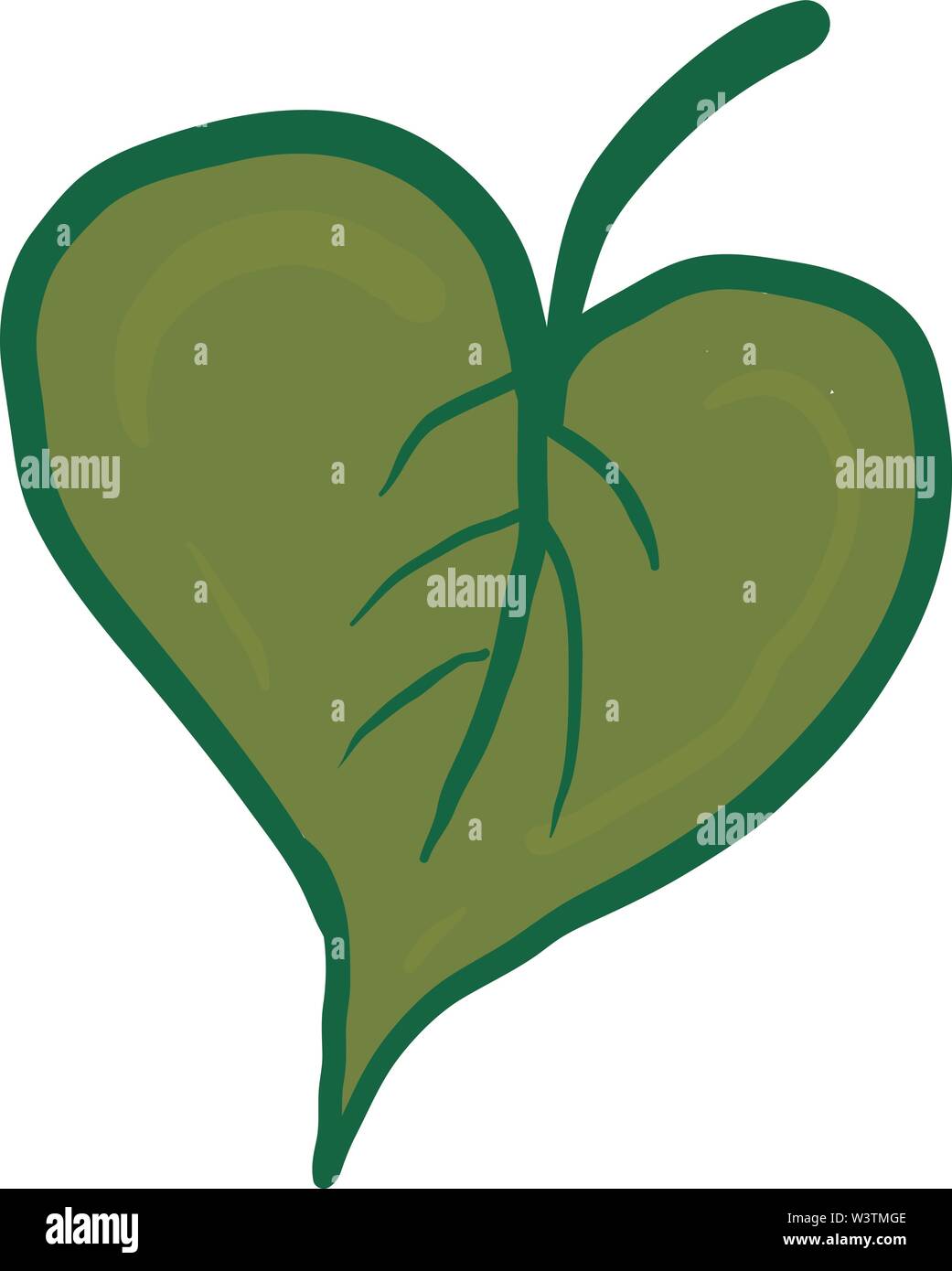 Green heart leaf, illustration, vector on white background Stock Vector ...