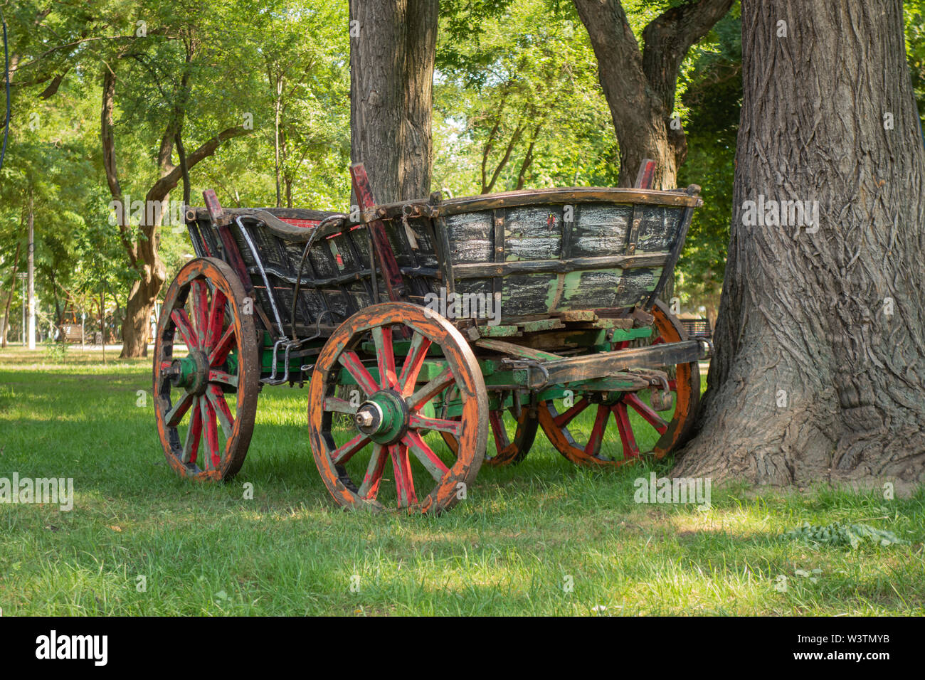 Vintage horse cart in a city park among old trees and green lawn Stock ...