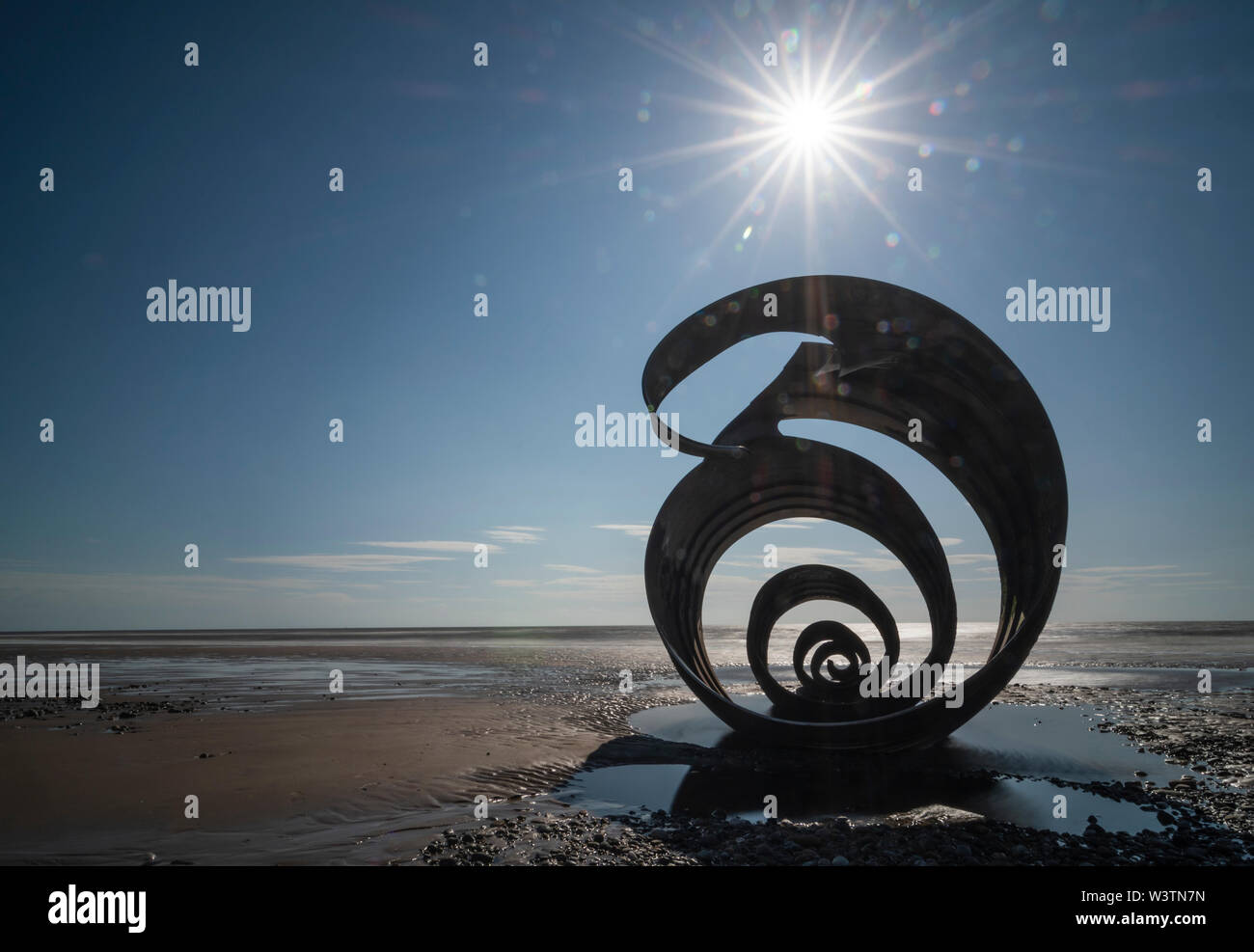 Marys shell hi-res stock photography and images - Alamy