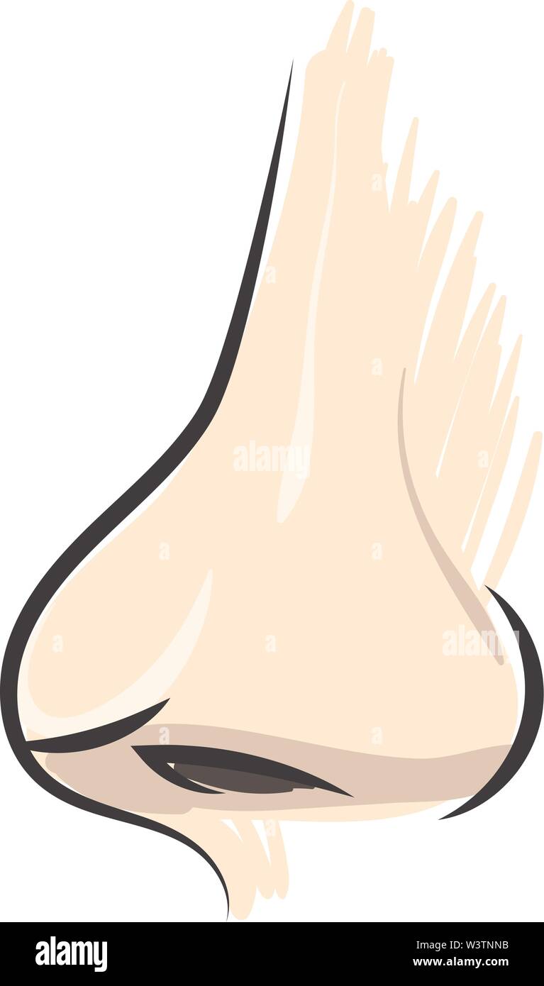 Nose smelling, illustration, vector on white background Stock Vector ...