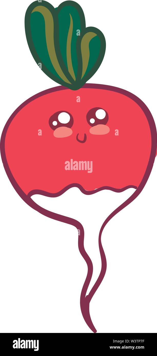 Cute pink radish, illustration, vector on white background Stock Vector ...