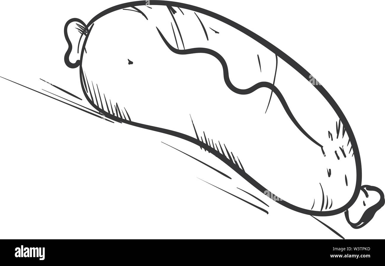 Sketch of a sausage, illustration, vector on white background Stock ...