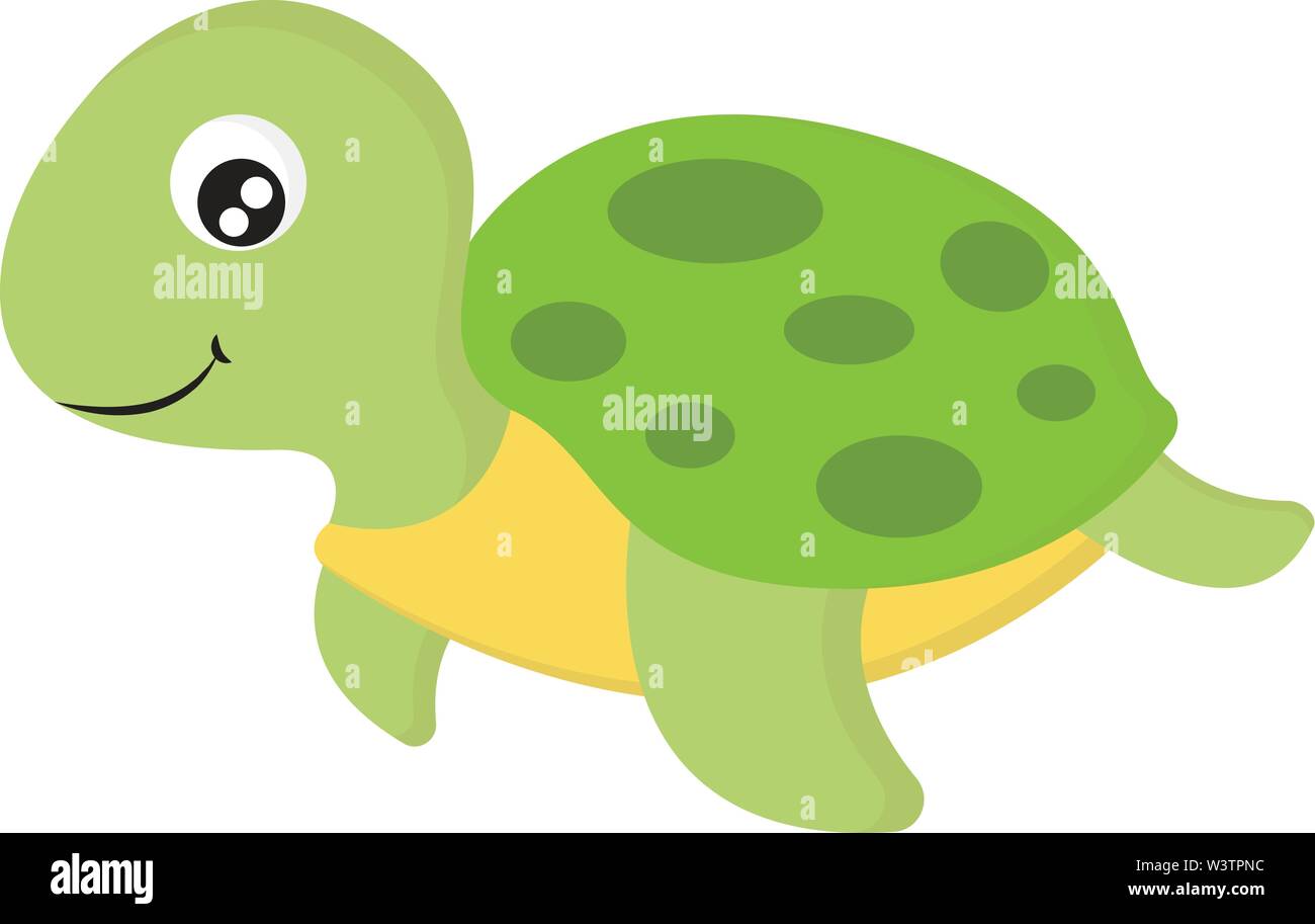 Chibi Turtle Drawing