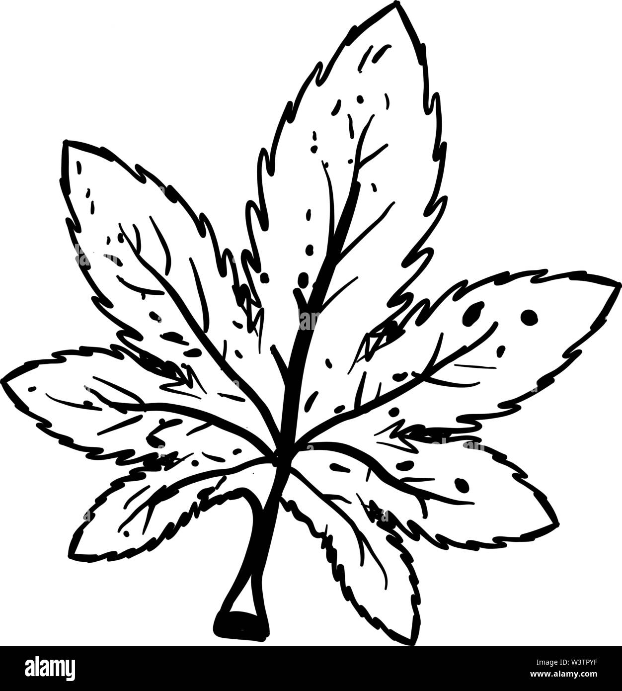 Drawing of marijuana, illustration, vector on white background Stock ...