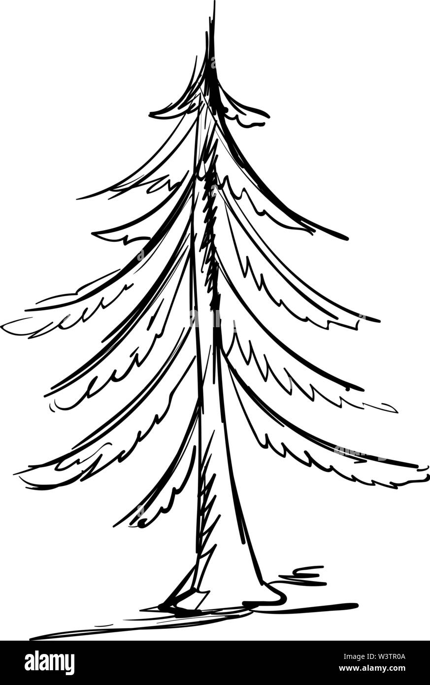 Spruce drawing Stock Vector Images - Alamy