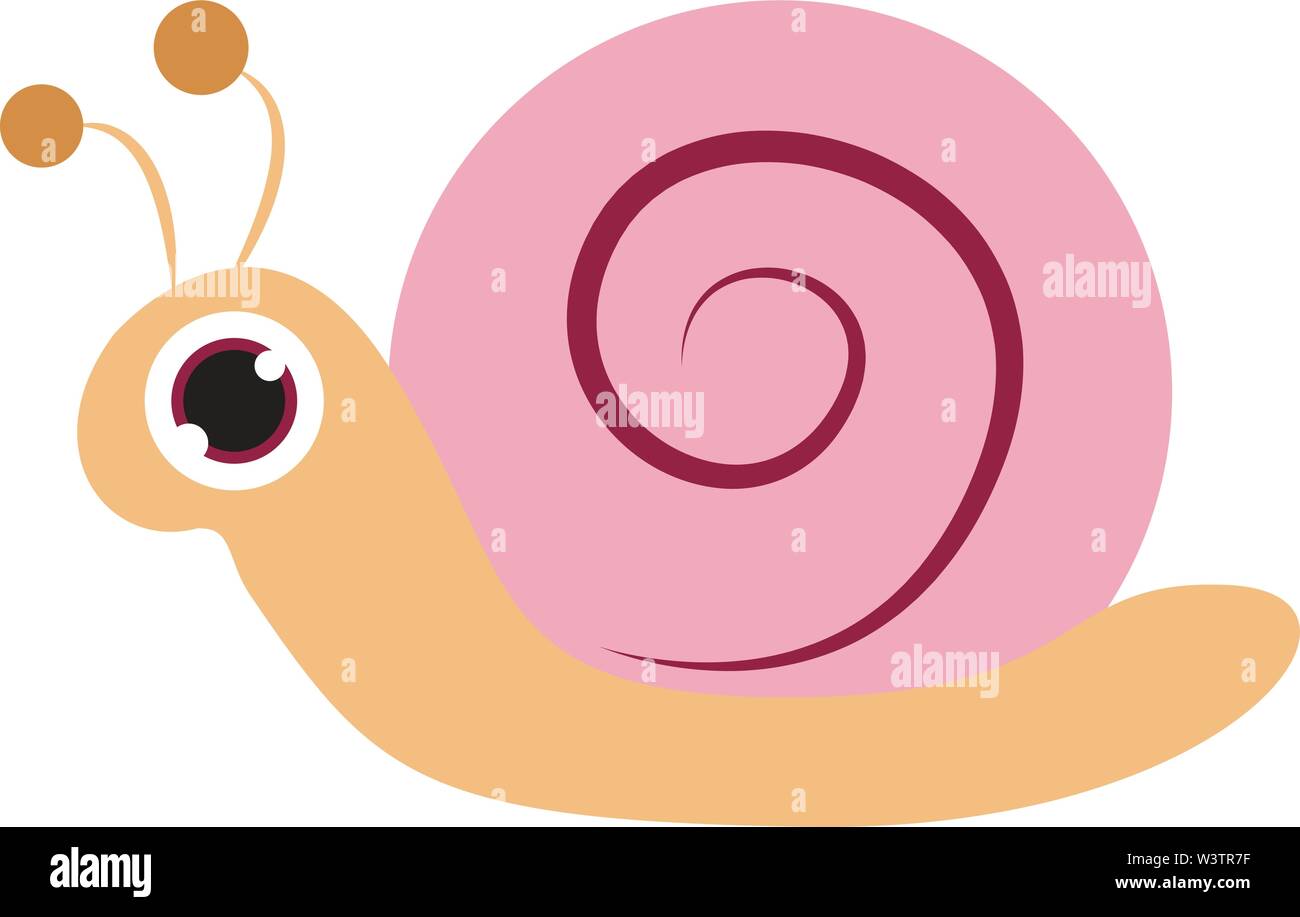 Pink little snail, illustration, vector on white background Stock ...