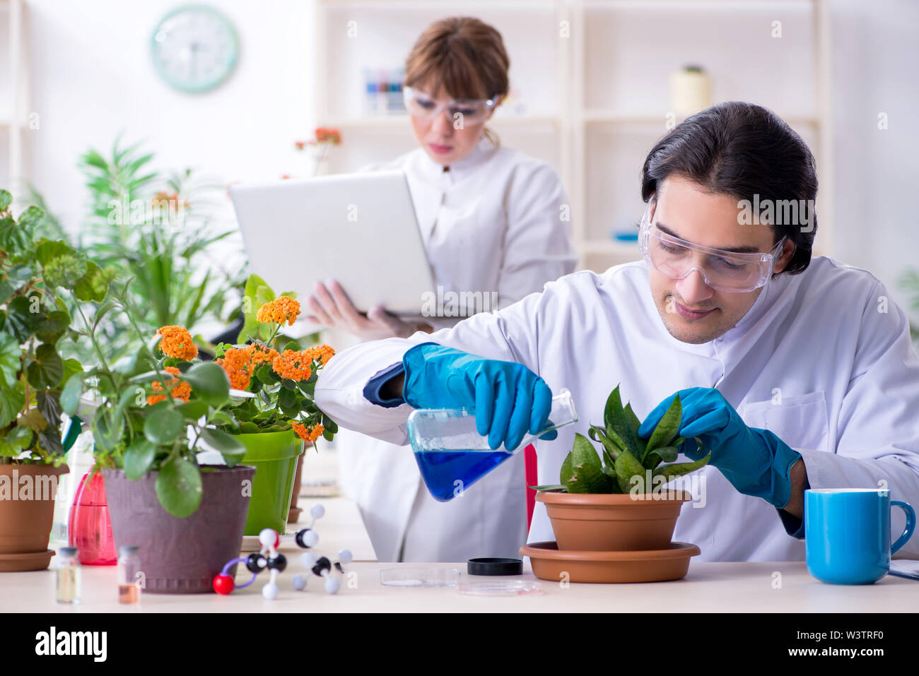 The two young botanist working in the lab Stock Photo - Alamy