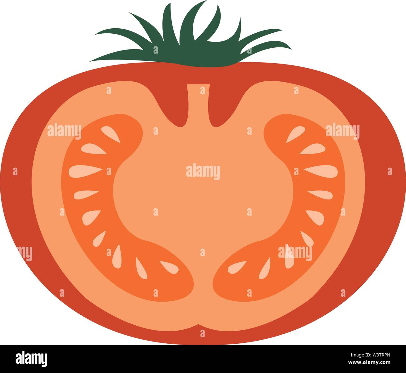 Half tomato Stock Vector Images - Alamy