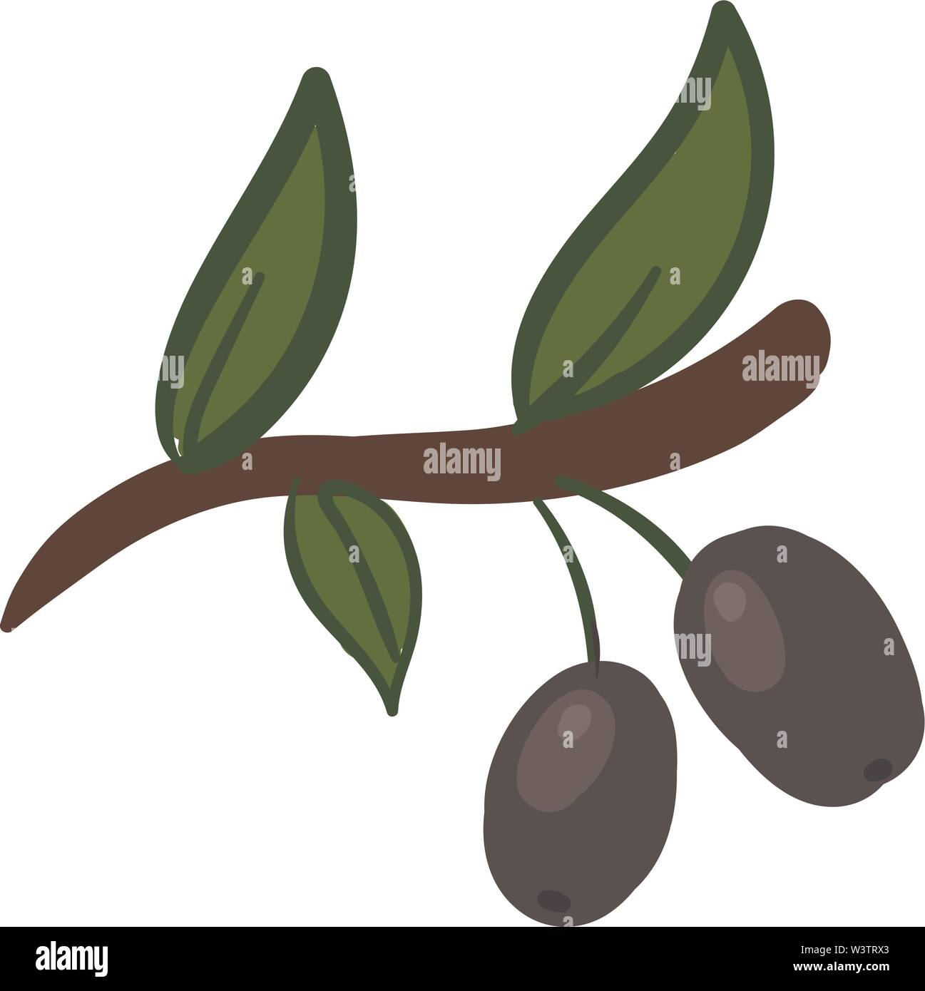 Two silver olives, illustration, vector on white background Stock ...