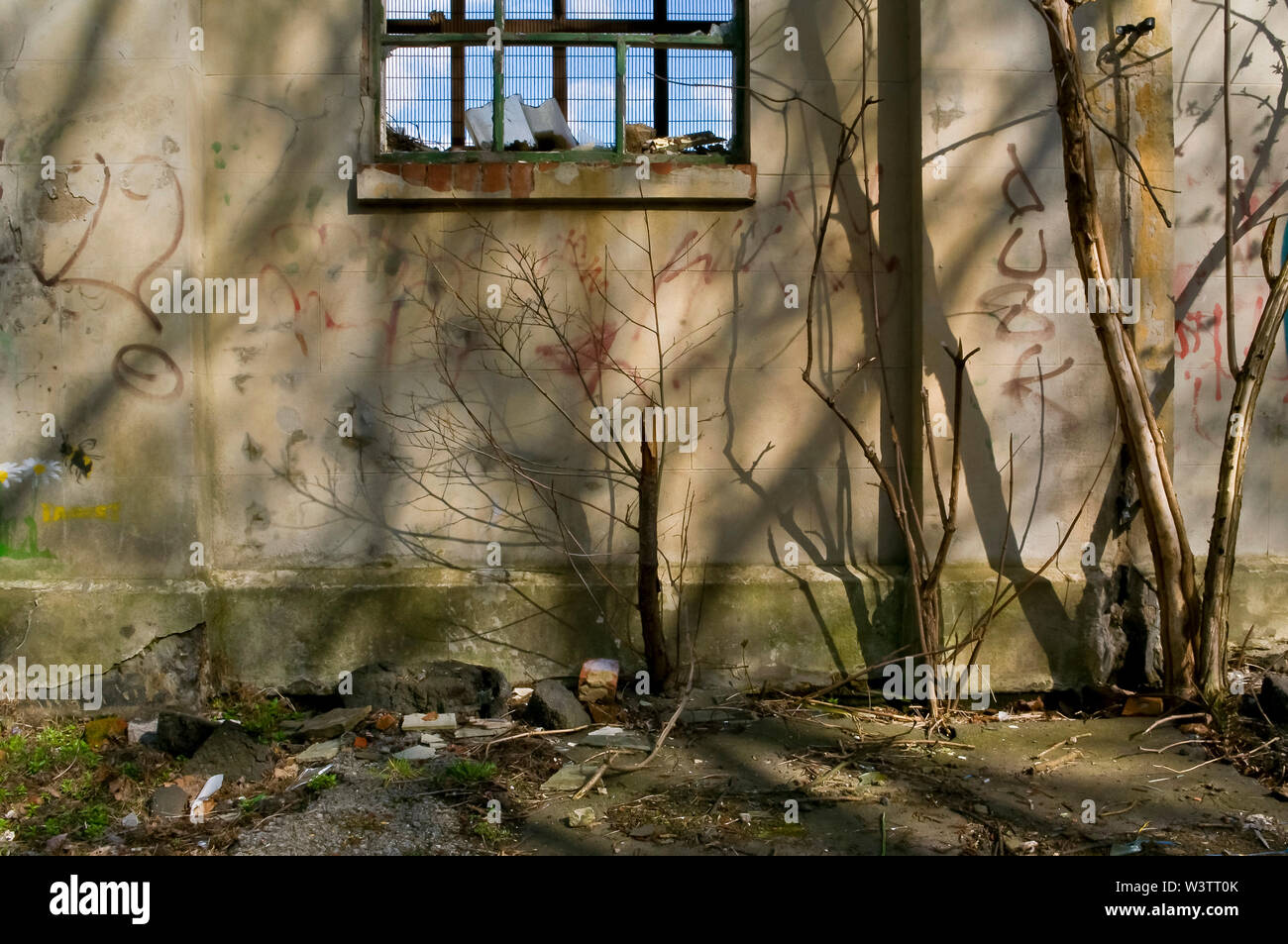 Window in a derelict factory building (now demolished) and tree shadows ...