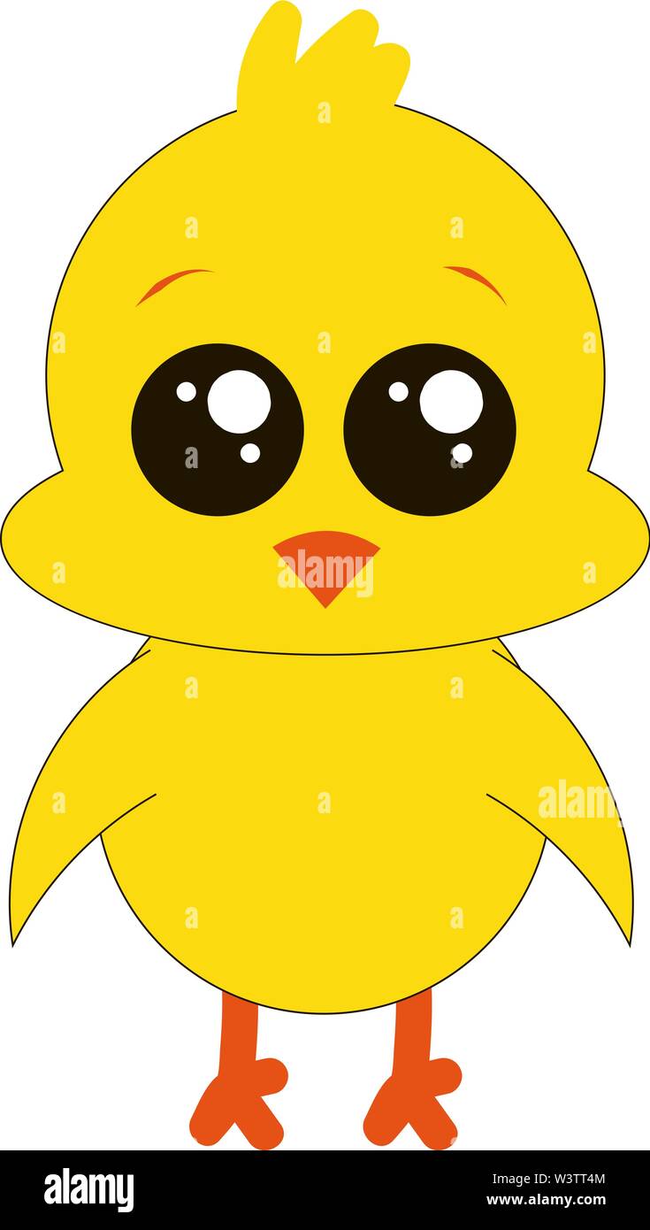 Cute yellow chicken, illustration, vector on white background Stock ...