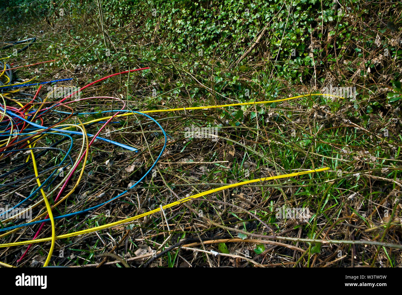 Coloured plastic cables dumped in a natural environment Stock Photo - Alamy