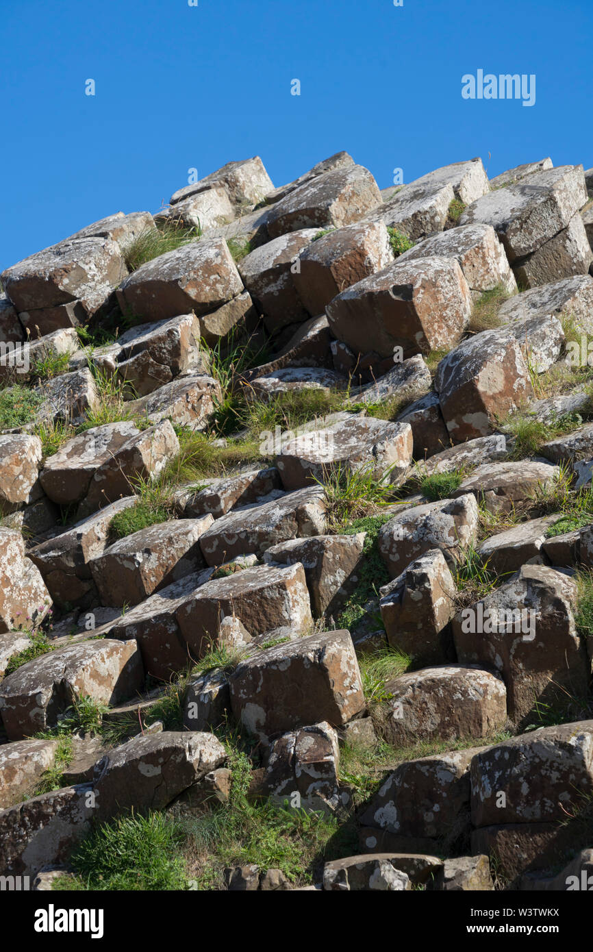 Stones at the Giant Causeway coastal area in Northern Ireland Stock ...