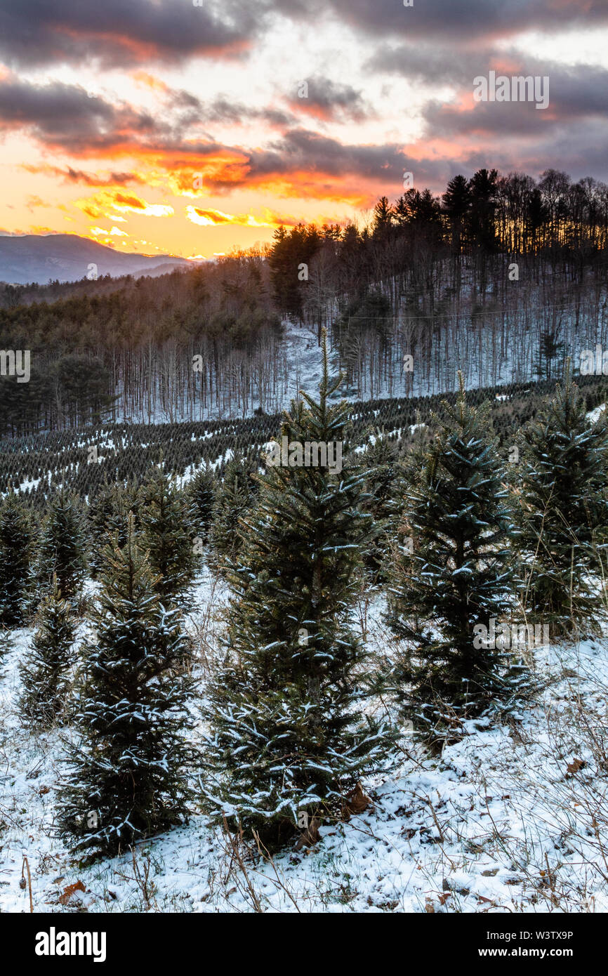 Sunset view of a snowy landscape near Penland, North Carolina, with the ...