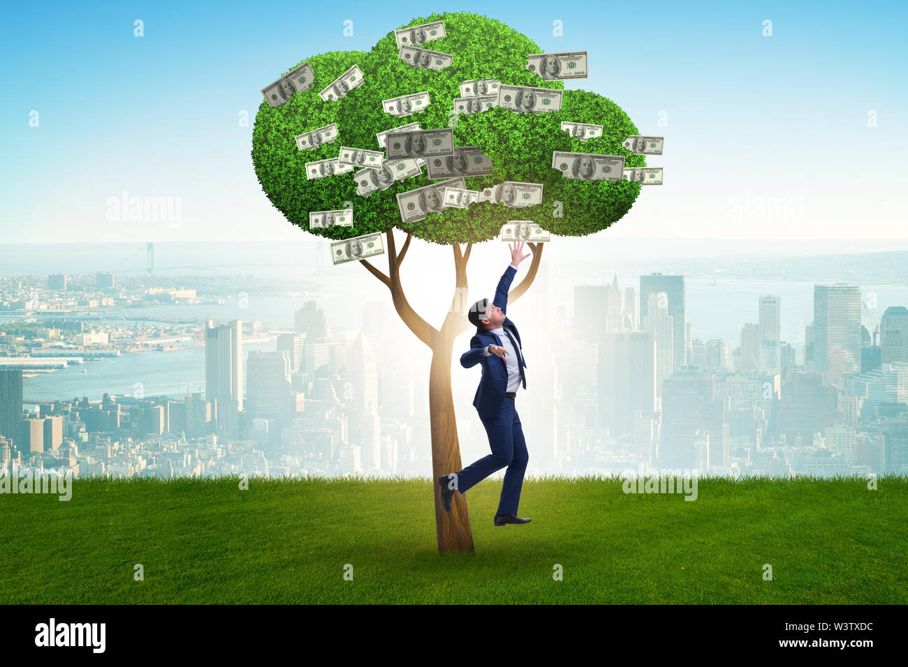 The businessman with money tree in business concept Stock Photo - Alamy