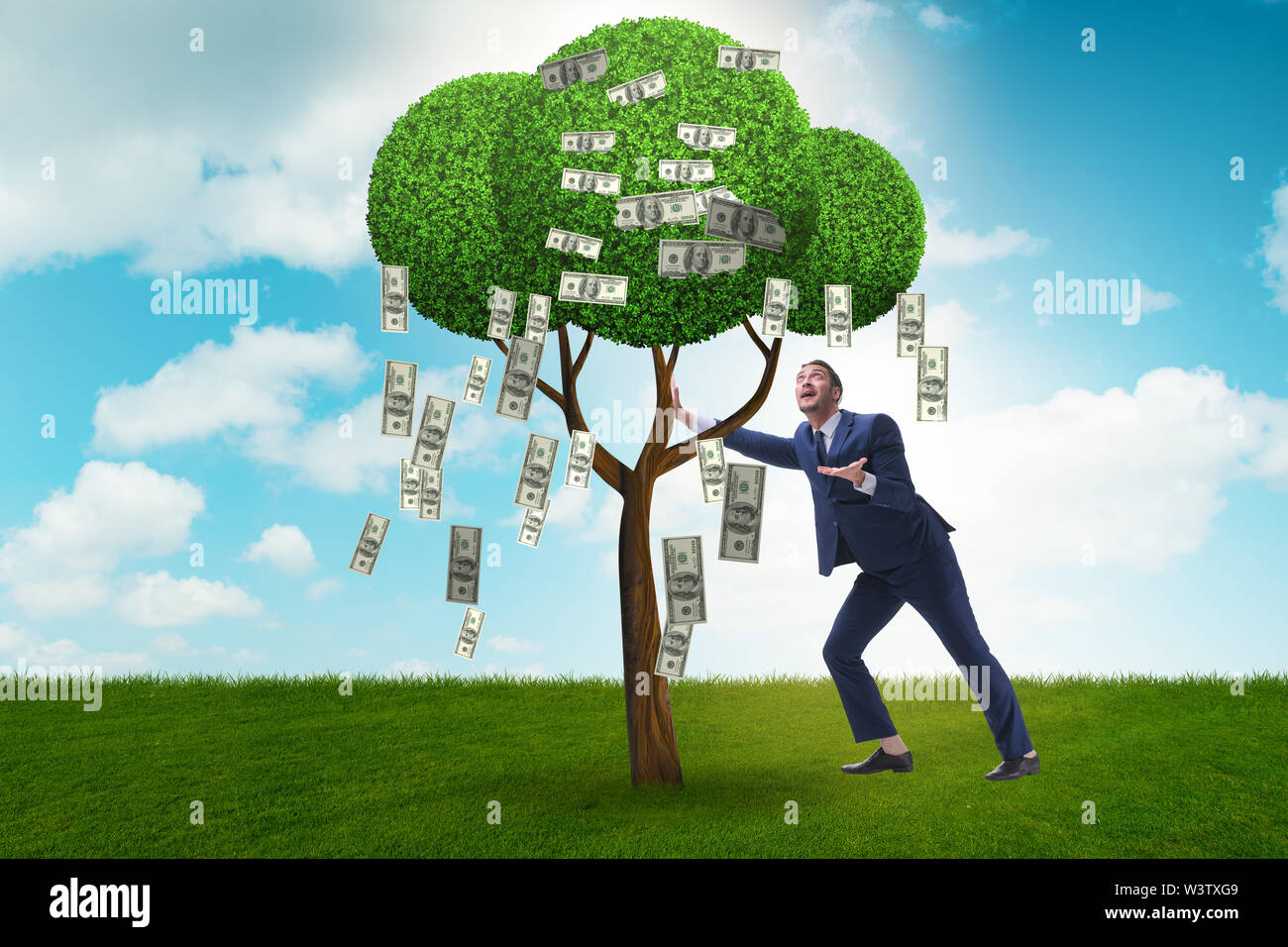 The businessman with money tree in business concept Stock Photo - Alamy
