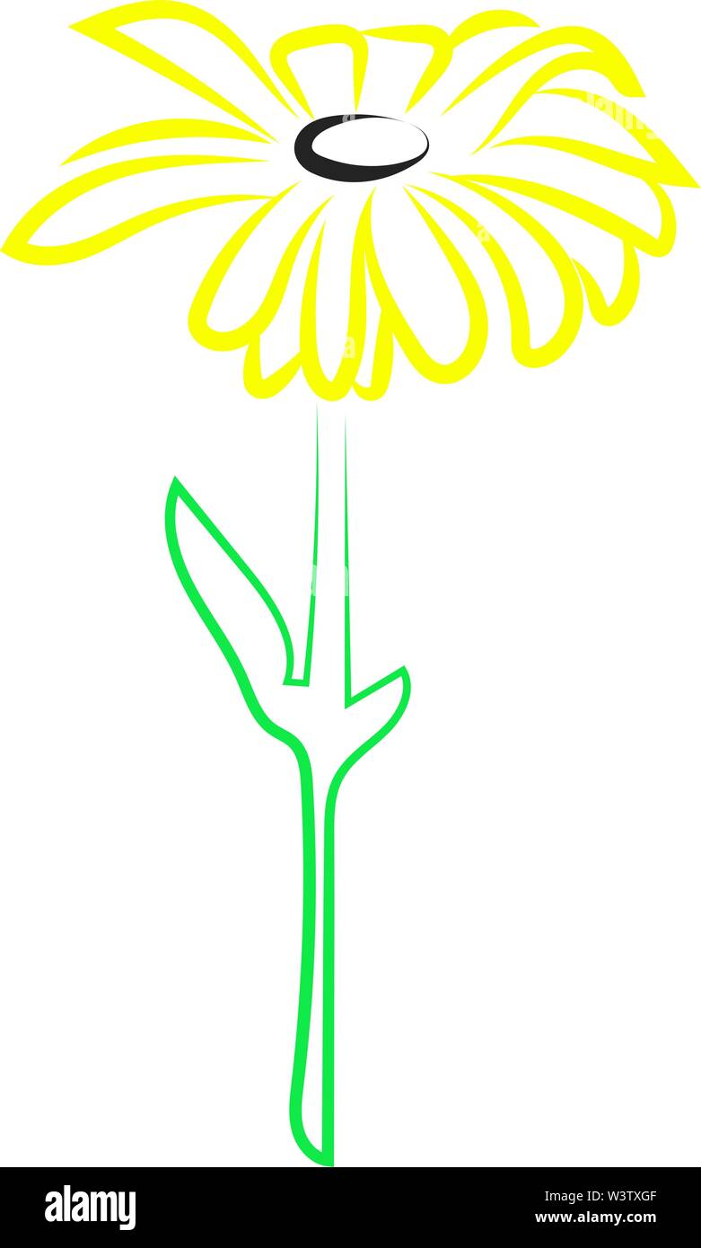 Chamomile herbal tea on Stock Vector Images - Alamy